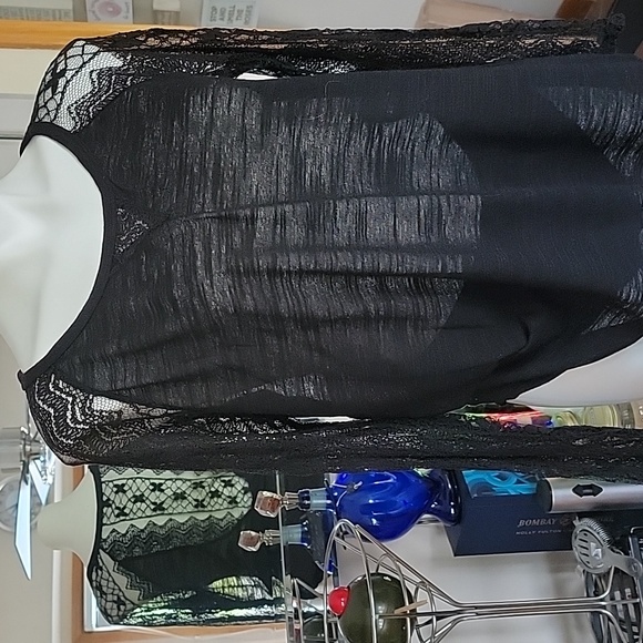 unknown | Tops | Lace Sheer Stretch Top Unknown Brand Est Large | Poshmark